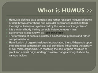 Process of humus formation | PPT