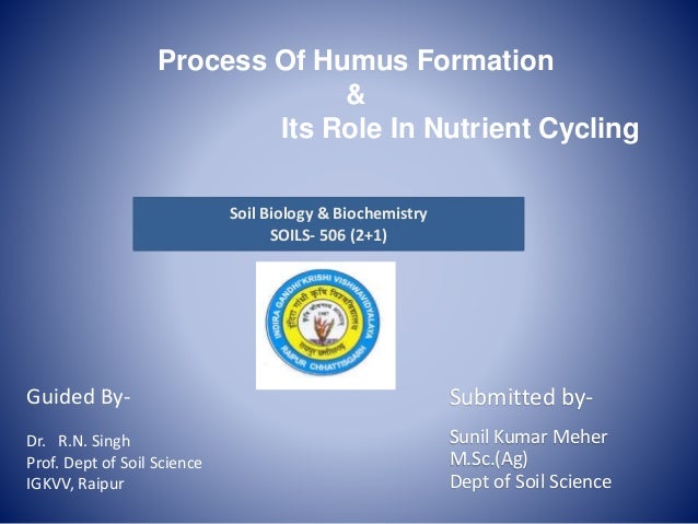 Process of humus formation