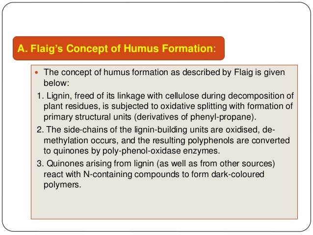 Process of humus formation