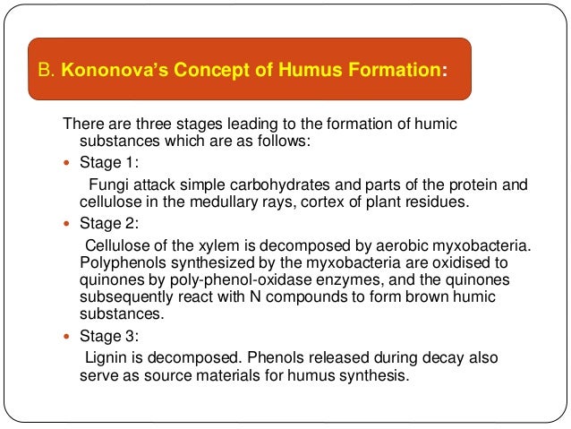 Process of humus formation