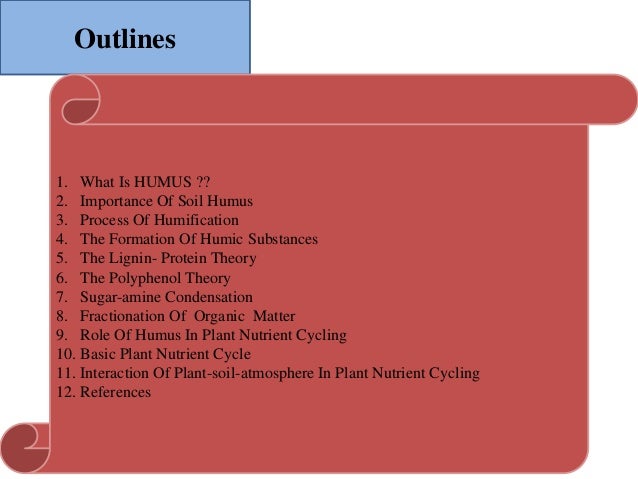 Process of humus formation