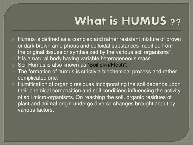 Process of humus formation