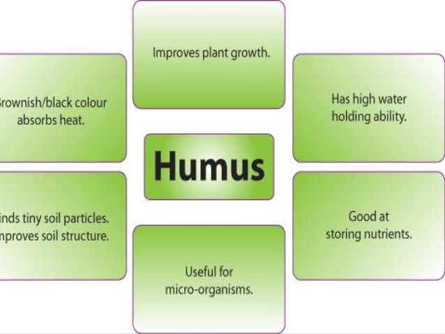 Process of humus formation