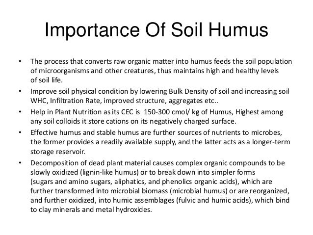 Process of humus formation