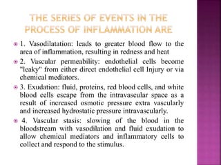 PROCESS OF INFLAMMATION B.PHARM 2ND SEM.pptx