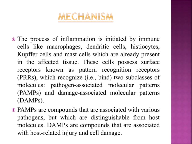 PROCESS OF INFLAMMATION B.PHARM 2ND SEM.pptx