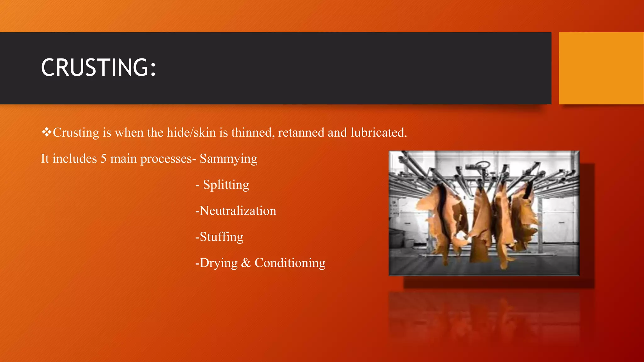 Process of leather manufacturing | PPTX