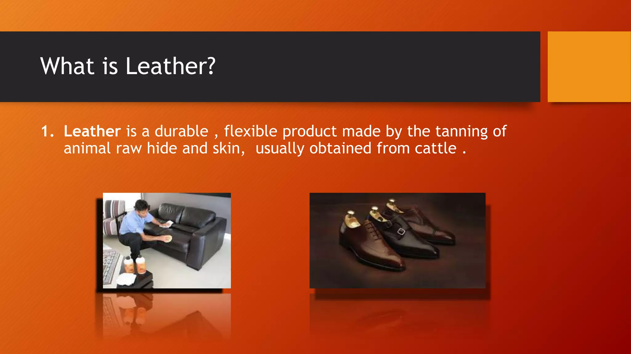 Process of leather manufacturing | PPTX