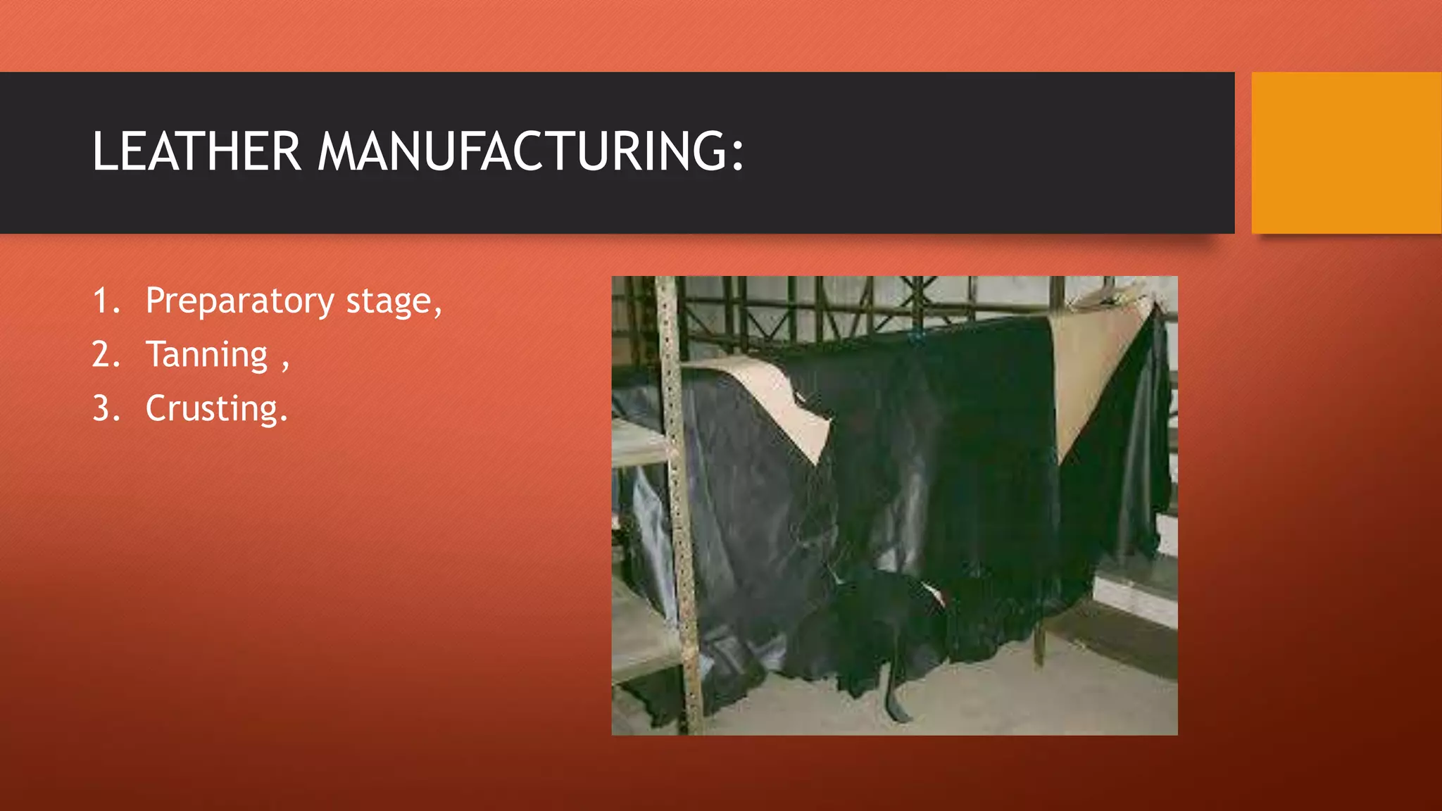 Process of leather manufacturing | PPTX