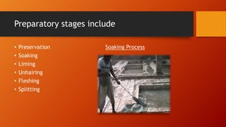 Process of leather manufacturing | PPTX