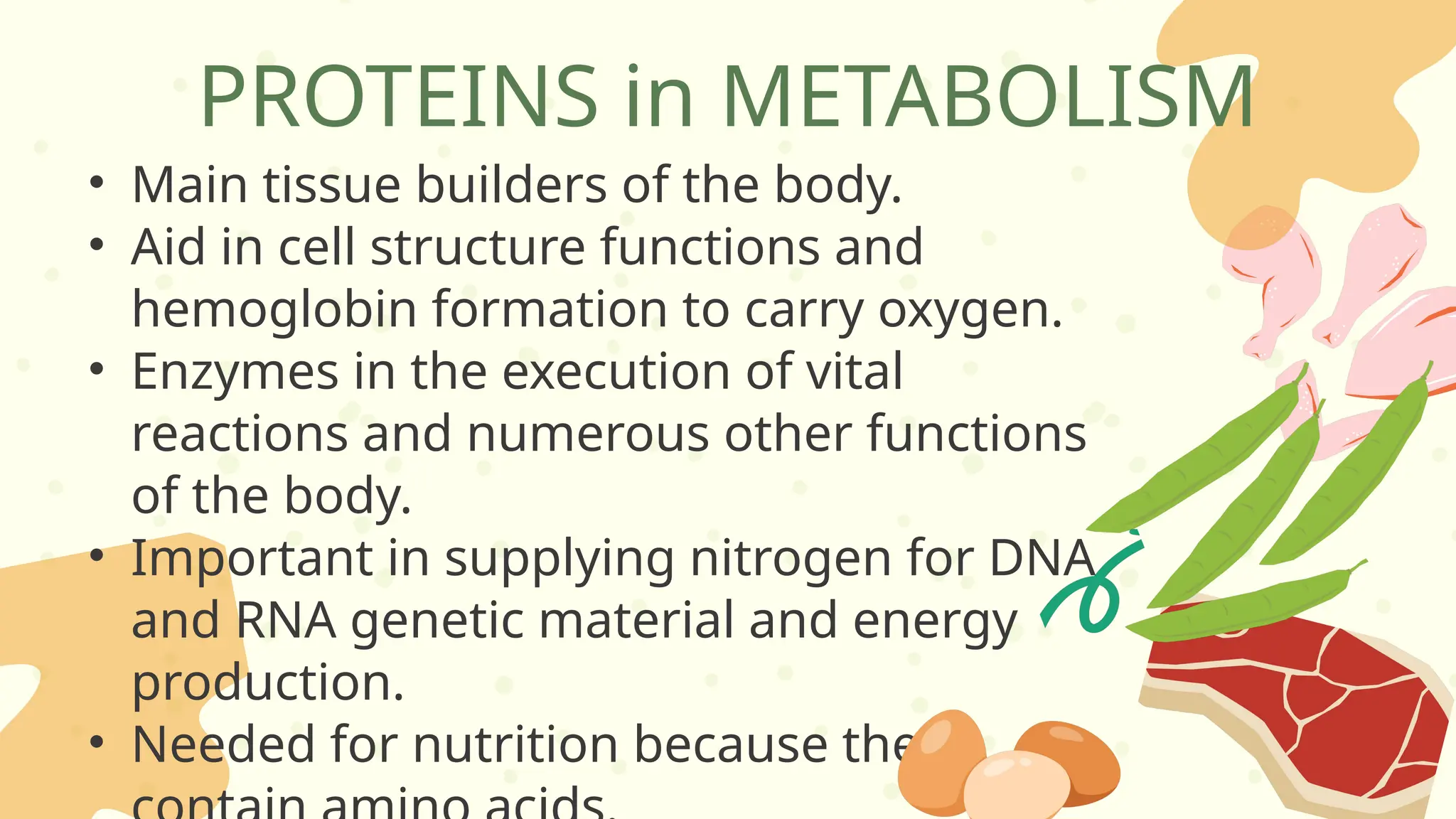 PROCESS OF METABOLISM with their importance | PPT