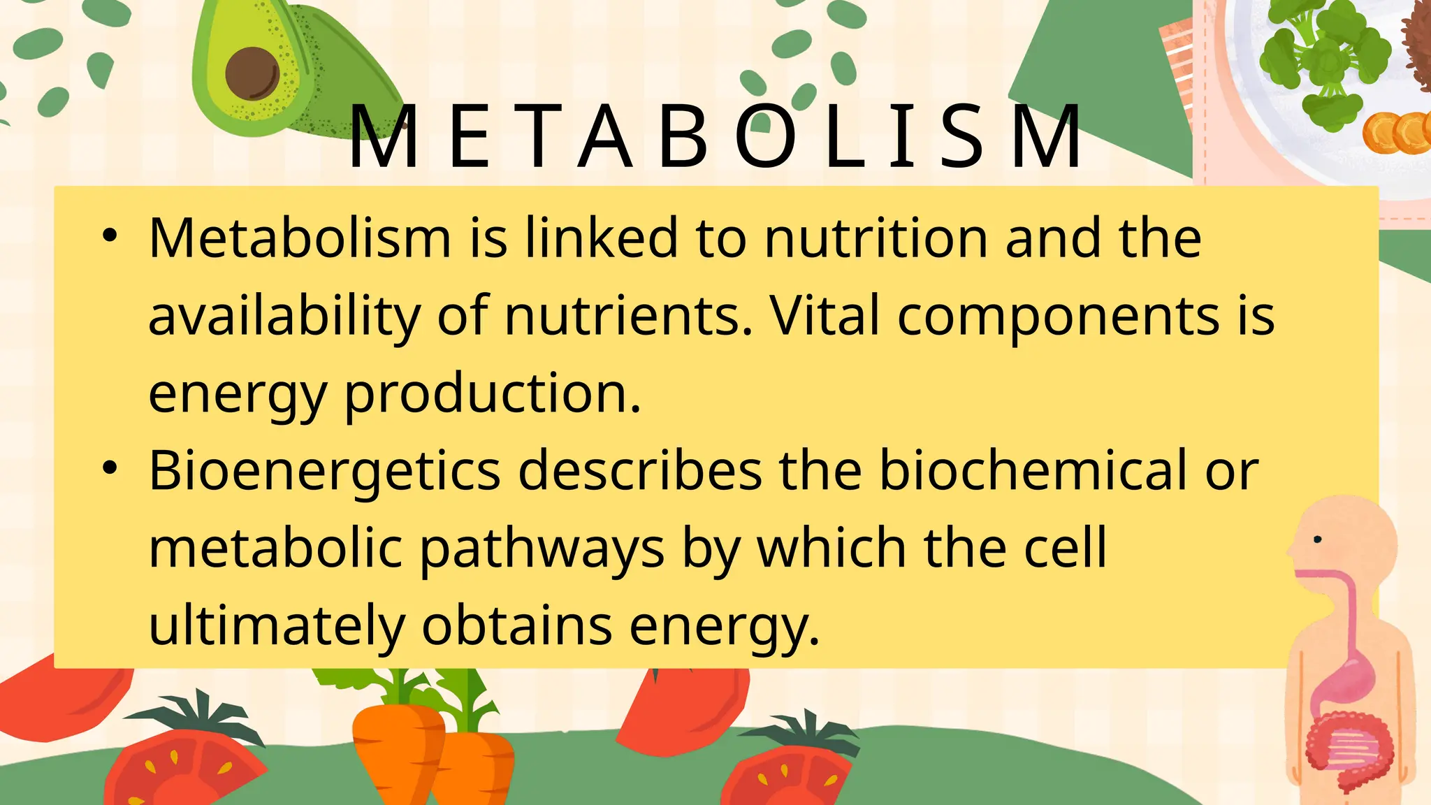 PROCESS OF METABOLISM with their importance | PPT