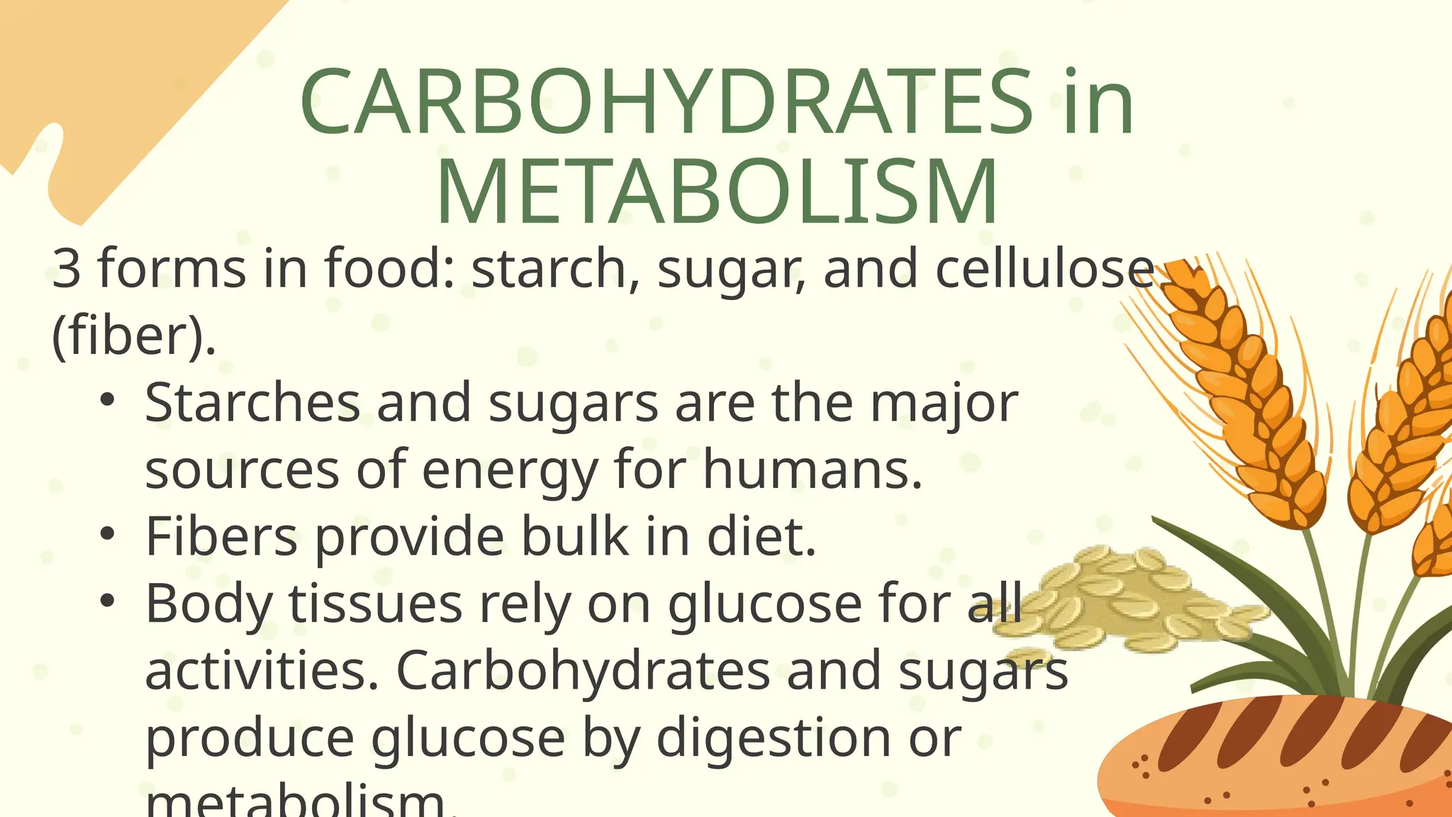 PROCESS OF METABOLISM with their importance | PPT