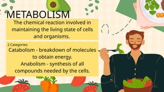 PROCESS OF METABOLISM with their importance | PPT