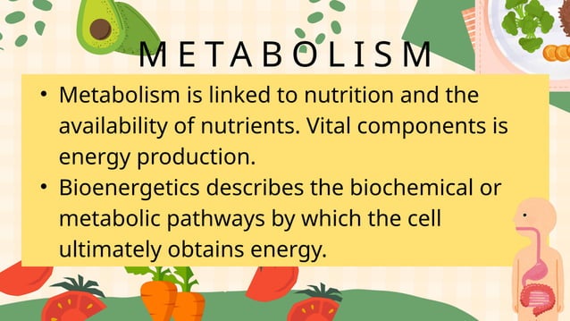 PROCESS OF METABOLISM with their importance | PPT