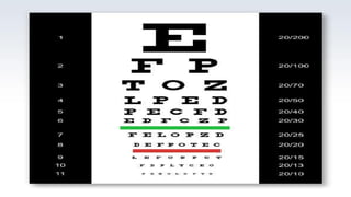 Process of seeing pdf | PDF