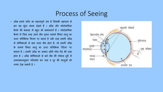 Process of seeing pdf | PDF