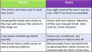 Process of seeing pdf | PDF