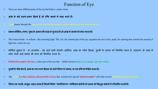 Process of seeing pdf | PDF
