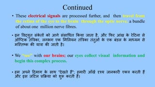 Process of seeing pdf | PDF