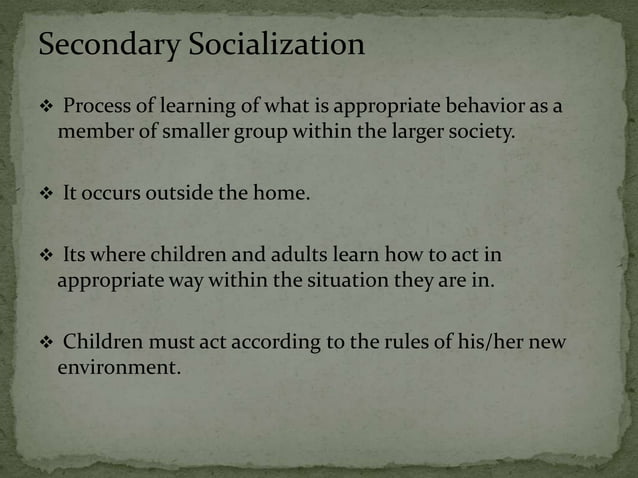 Process of socialization | PPT