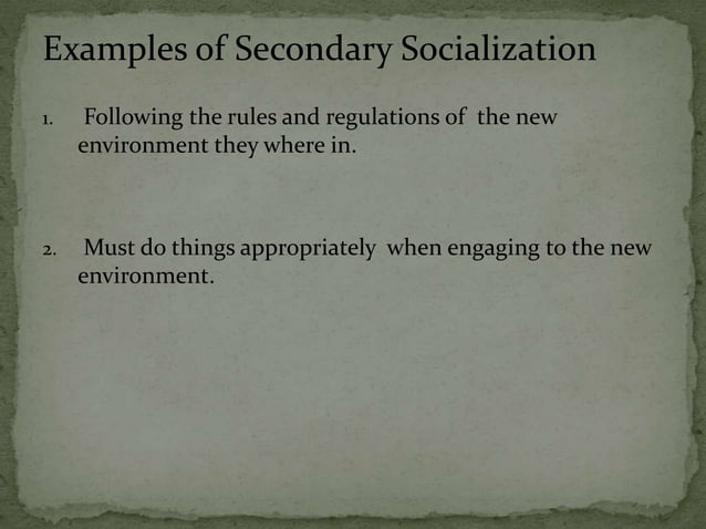 Process of socialization | PPT