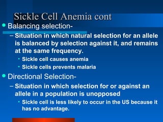 Process of speciation | PPT