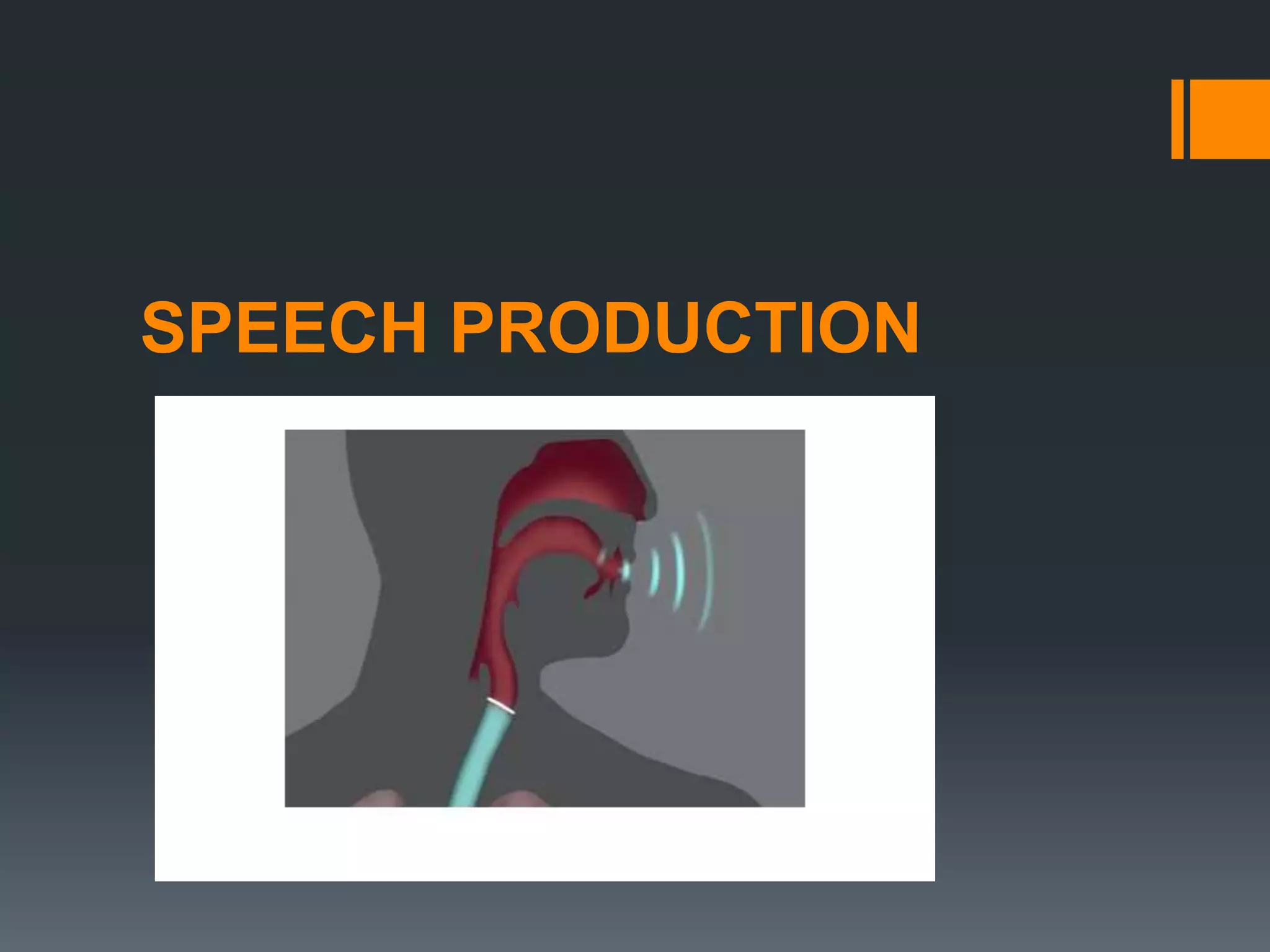 Process of speech production.pptx