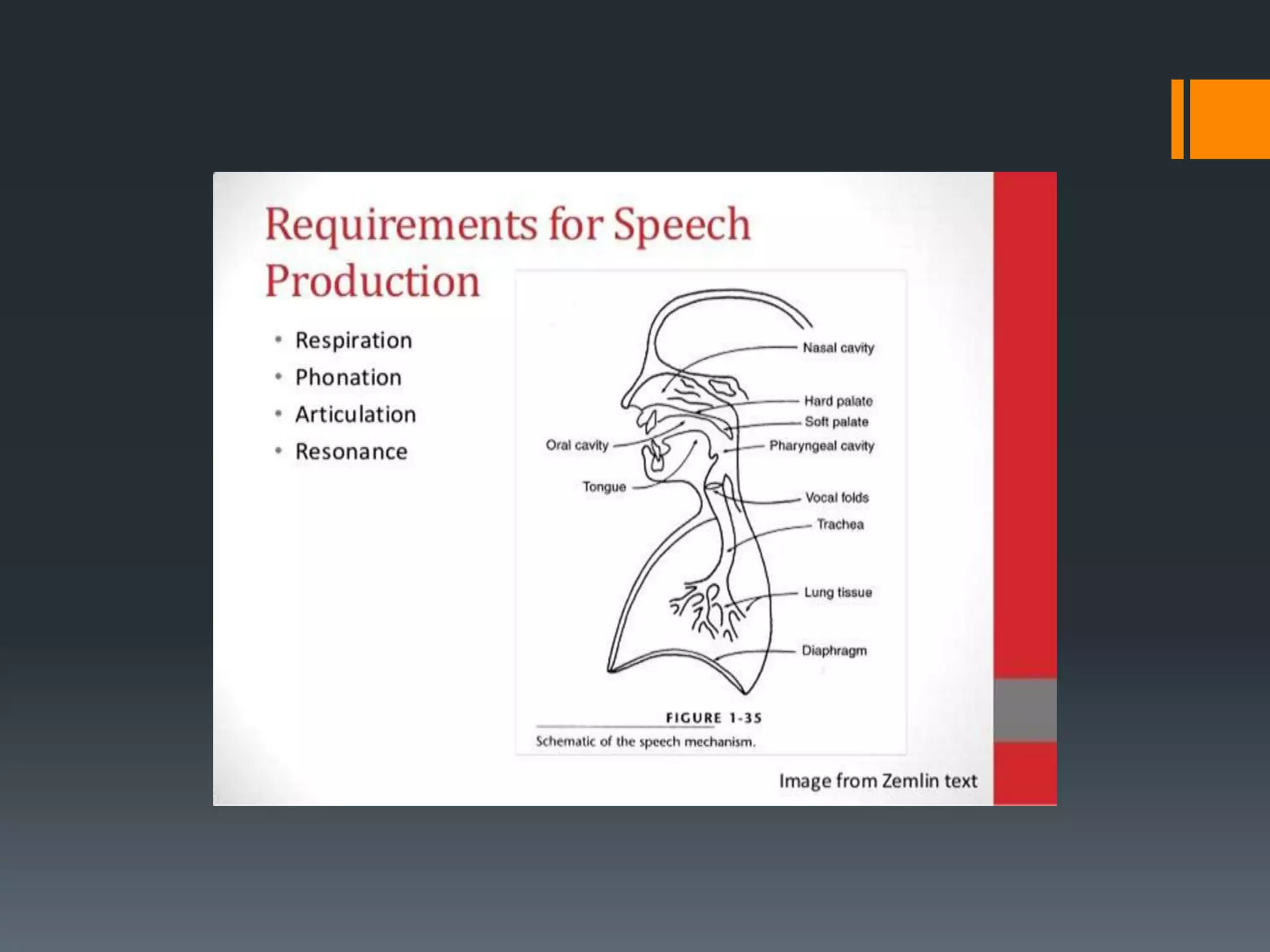 Process of speech production.pptx