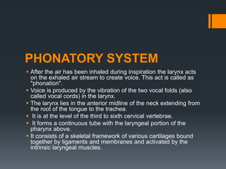 Process of speech production.pptx