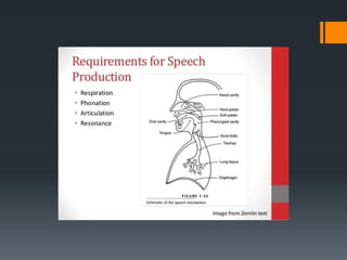 Process of speech production.pptx