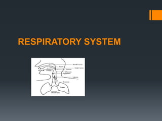 Process of speech production.pptx