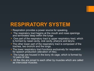 Process of speech production.pptx