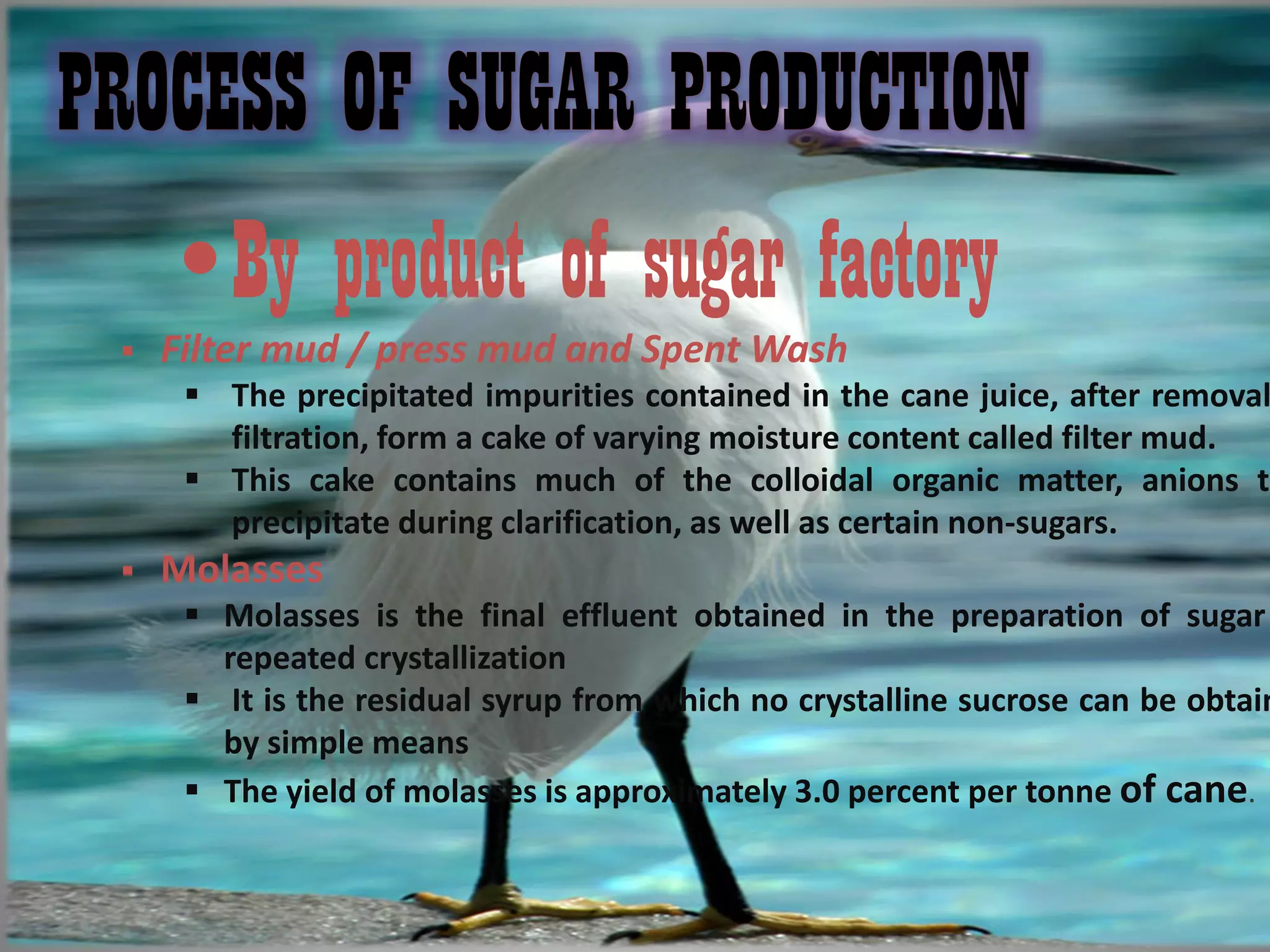Process of sugar production from sugarcane - sugar factory | PDF
