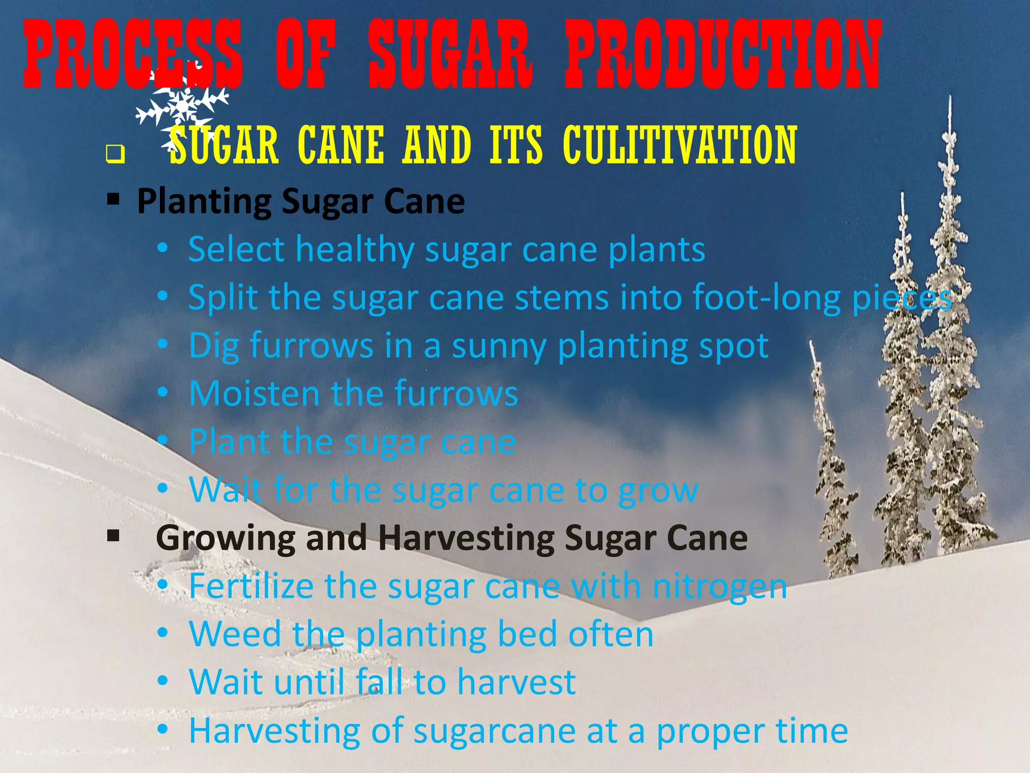 Process of sugar production from sugarcane - sugar factory | PDF