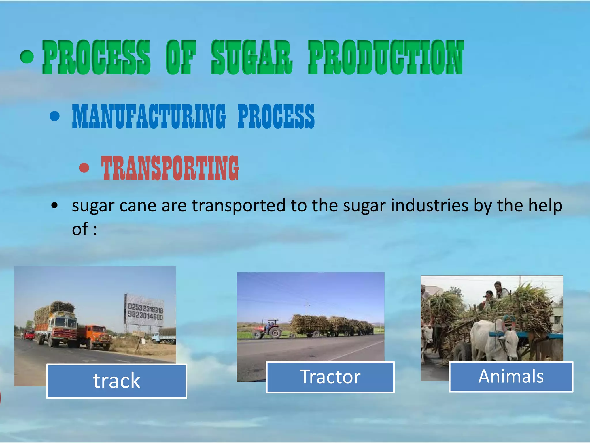 Process of sugar production from sugarcane - sugar factory | PDF