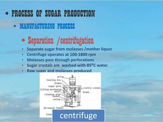 Process of sugar production from sugarcane - sugar factory | PDF