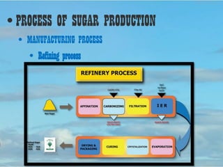 Process of sugar production from sugarcane - sugar factory | PDF