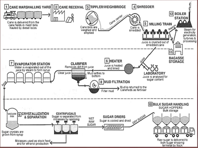 Process of sugar production from sugarcane - sugar factory | PDF ...