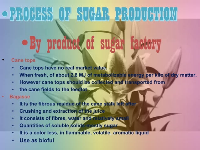 Process of sugar production from sugarcane - sugar factory | PDF ...