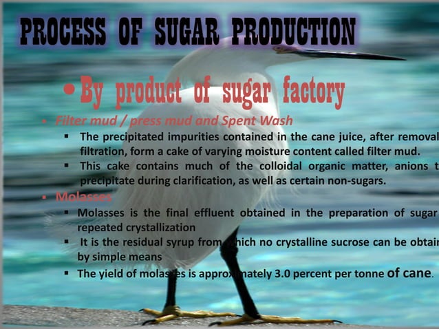 Process of sugar production from sugarcane - sugar factory | PDF ...