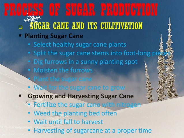 Process of sugar production from sugarcane - sugar factory | PDF ...