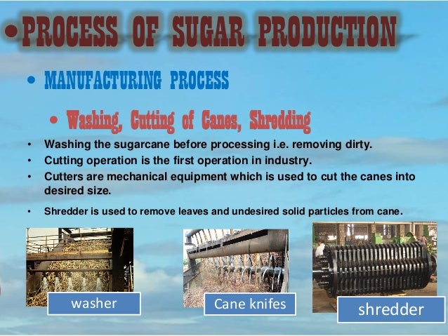Process of sugar production from sugarcane - sugar factory