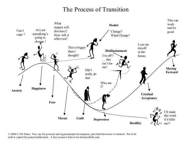 Process of transition - Fisher's Transition Curve - John Fisher 2003