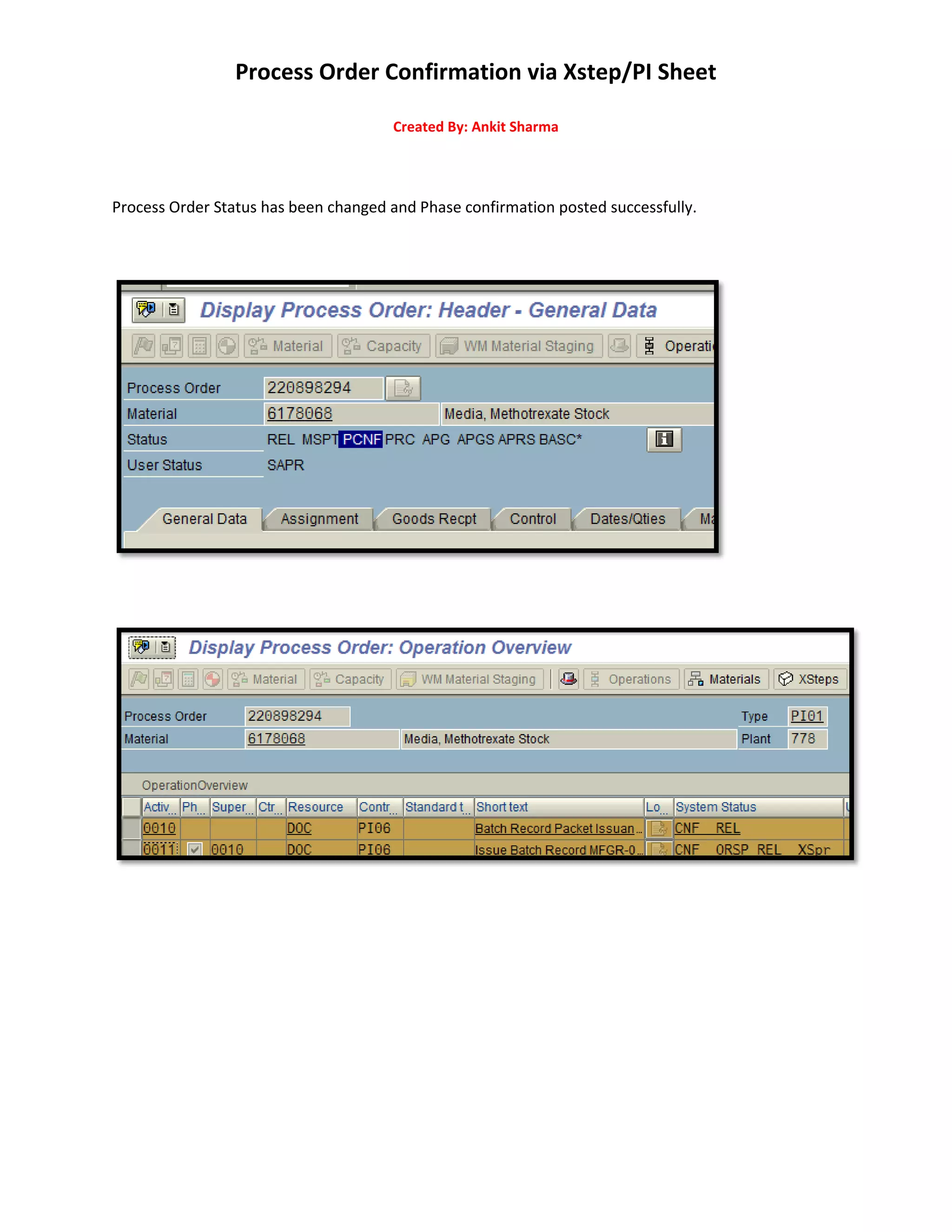 Learn Process order confirmation via XStep and PI sheet | PDF