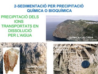 Processos geològics externs 4 ESO | PPT