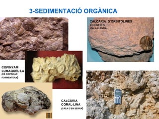 Processos geològics externs 4 ESO | PPT