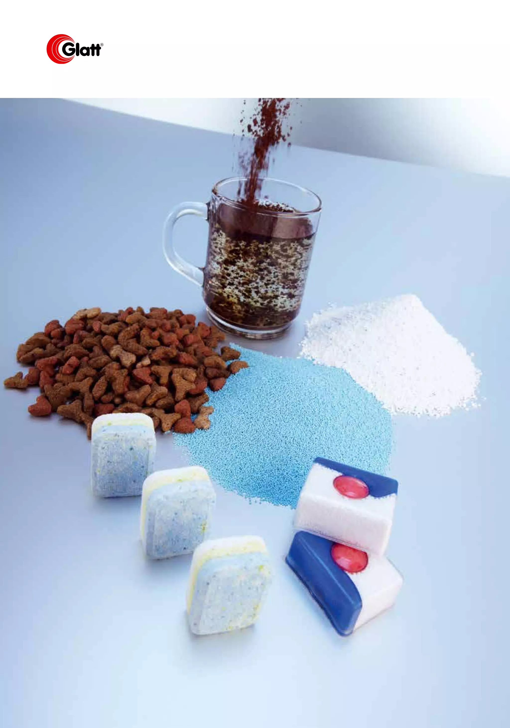 Process plant engineering GLATT | PDF