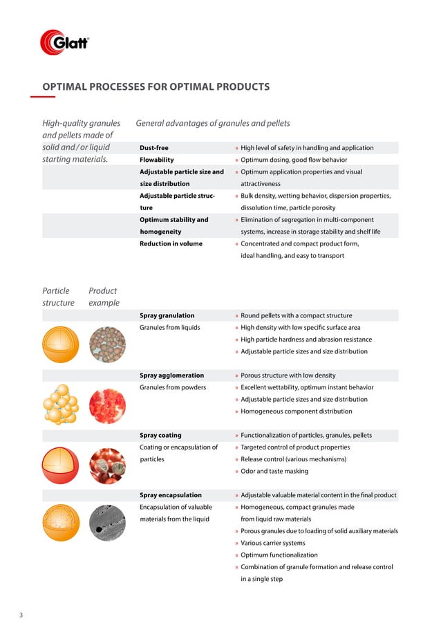 Process plant engineering GLATT | PDF