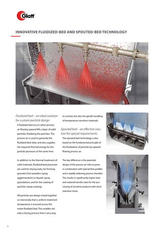 Process plant engineering GLATT | PDF
